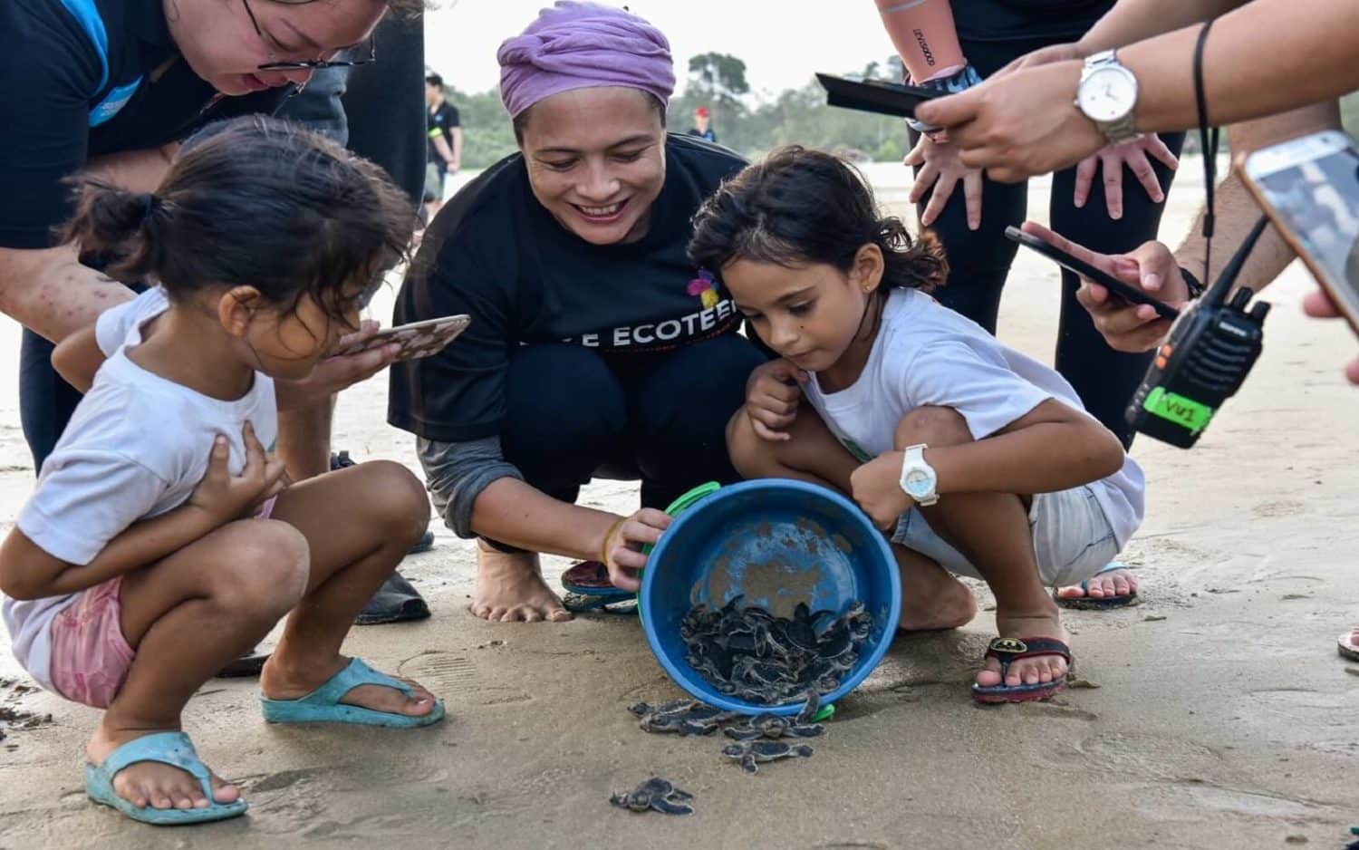 Conservation projects in Malaysia | Marine | Turtle | Education