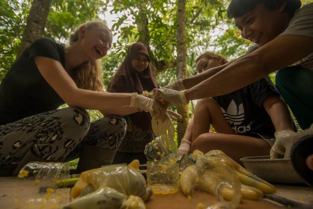 Volunteer Conservation Projects Malaysia | Turtle Marine Wildlife