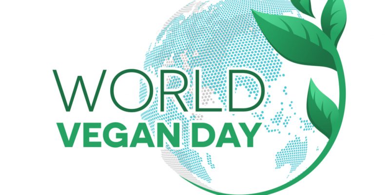 World Vegan Day | Can it help the planet? | Fuze Ecoteer